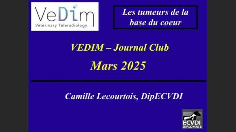 CT Imaging of Cardiac Tumors in Dogs and Cats